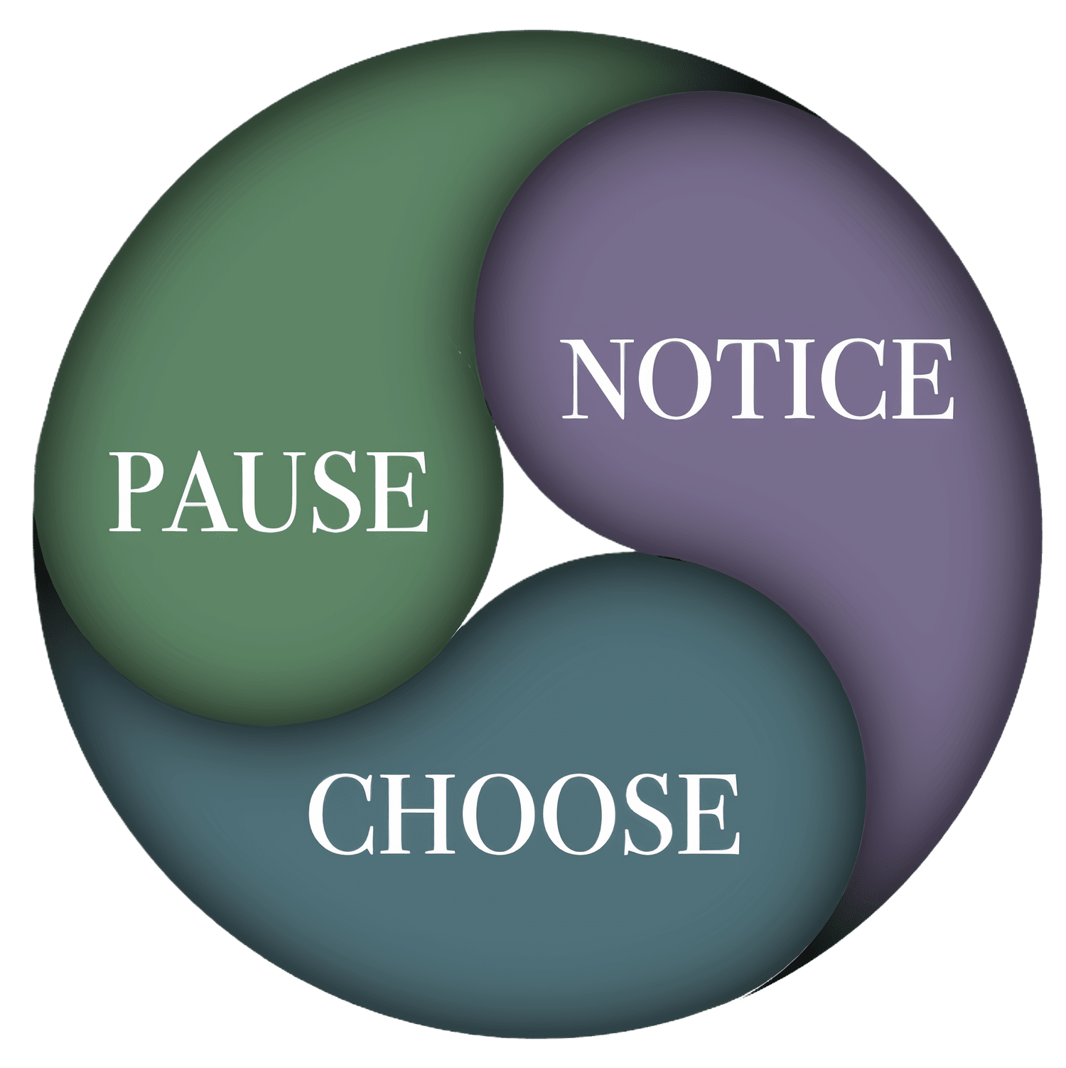 Pause, Notice, Choose: A Simple Mindset Shift to Reduce Stress and ...