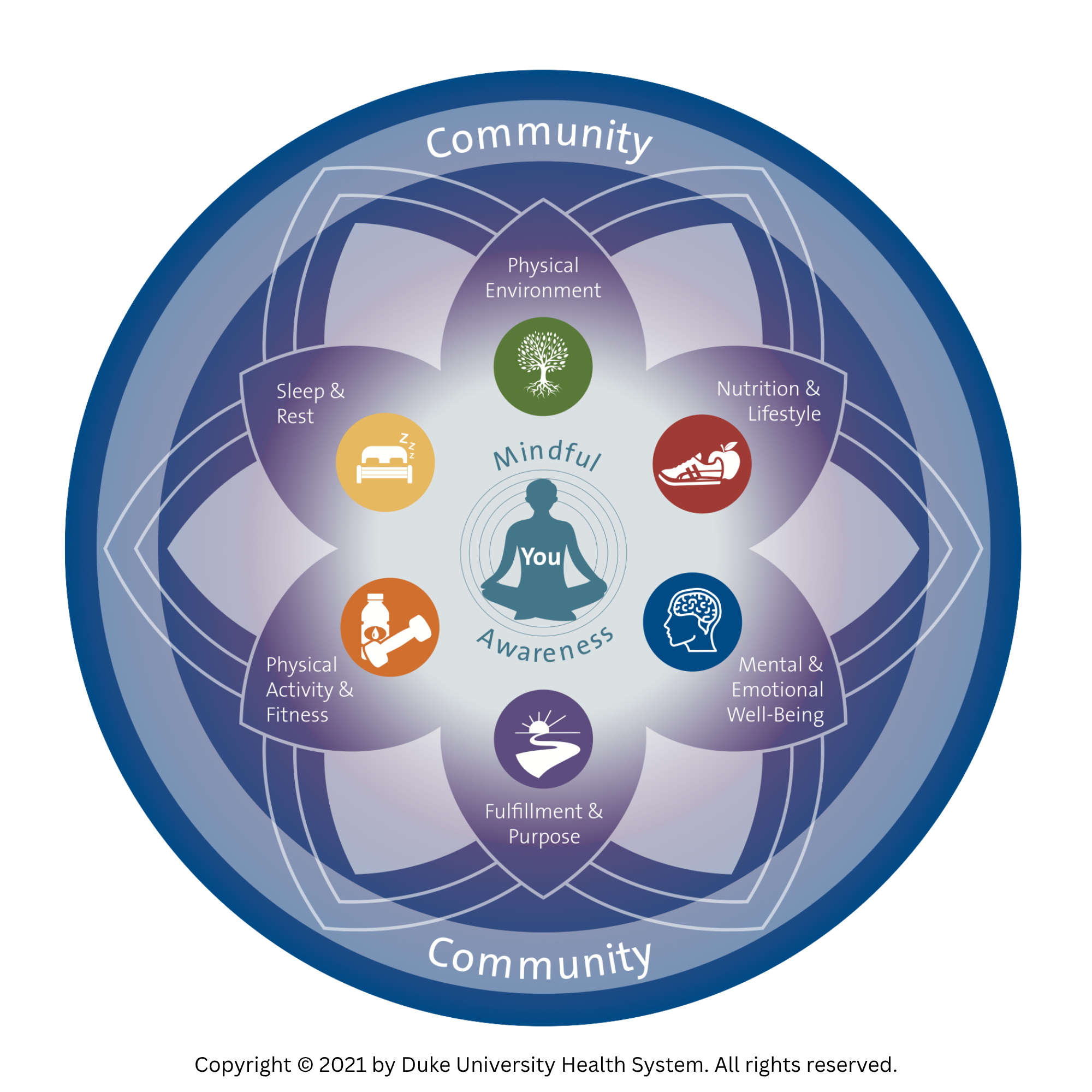 Wheel of Health | Whole Health Coaching & Lifestyle Support — Whole ...