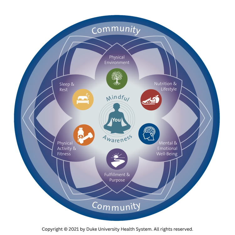Wheel of Health | Whole Health Coaching & Lifestyle Support — Whole ...