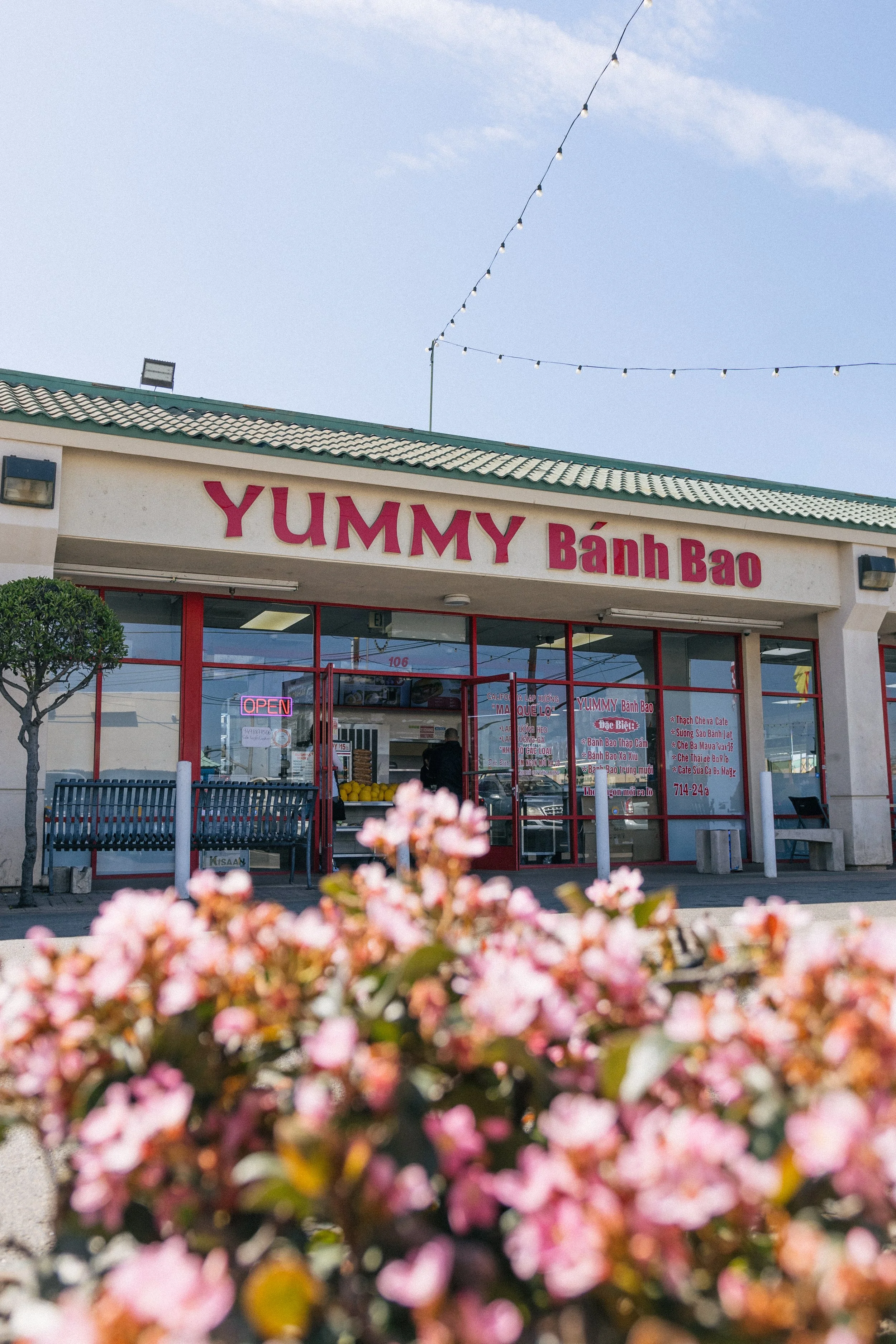 Our Locations — Yummy Bakery