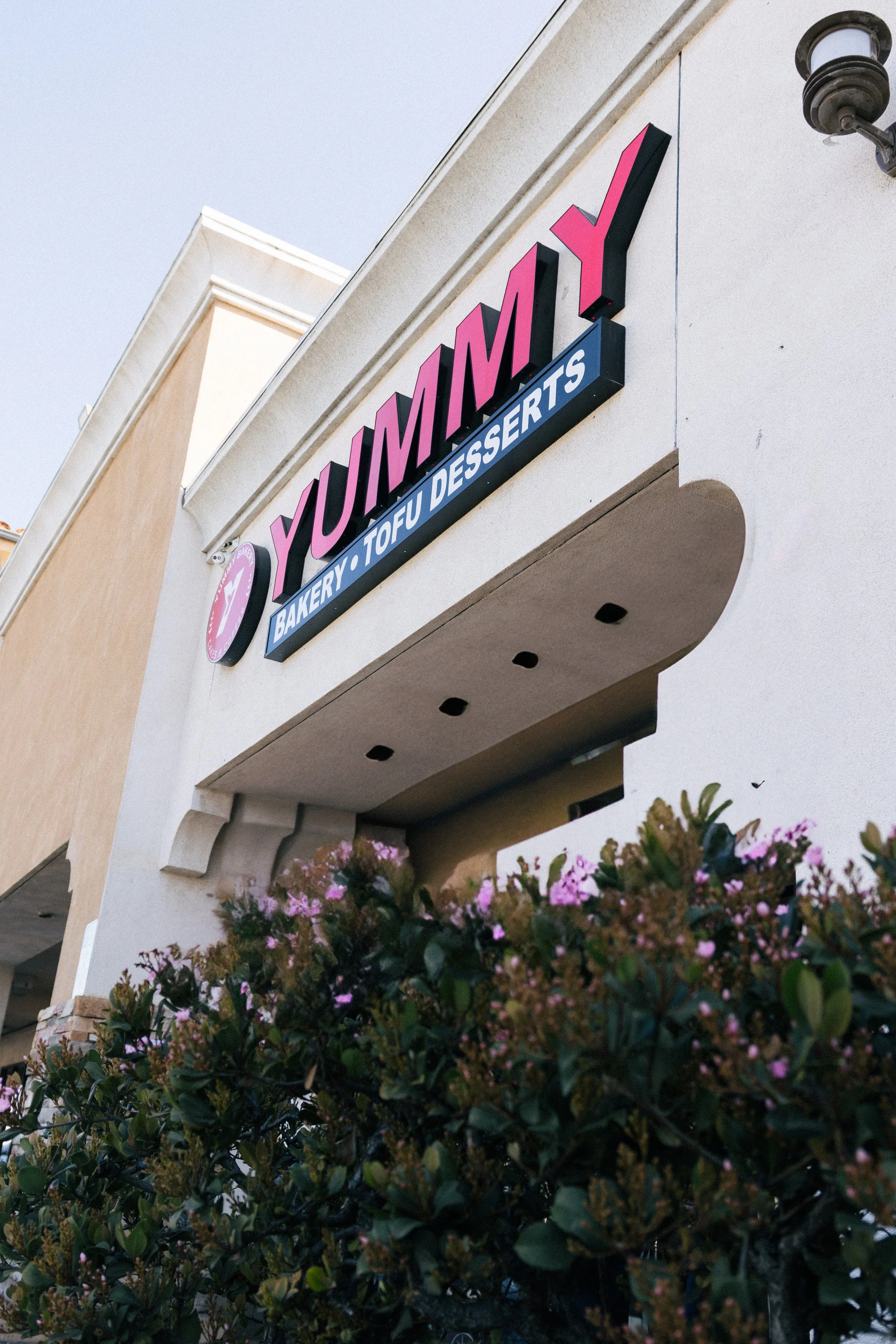 Our Locations — Yummy Bakery