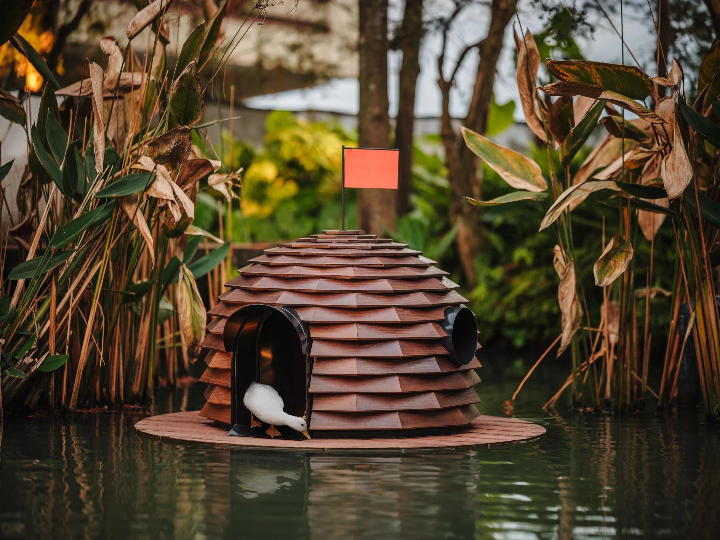 Nesting Plan VI Call Duck — Cheng Tsung FENG