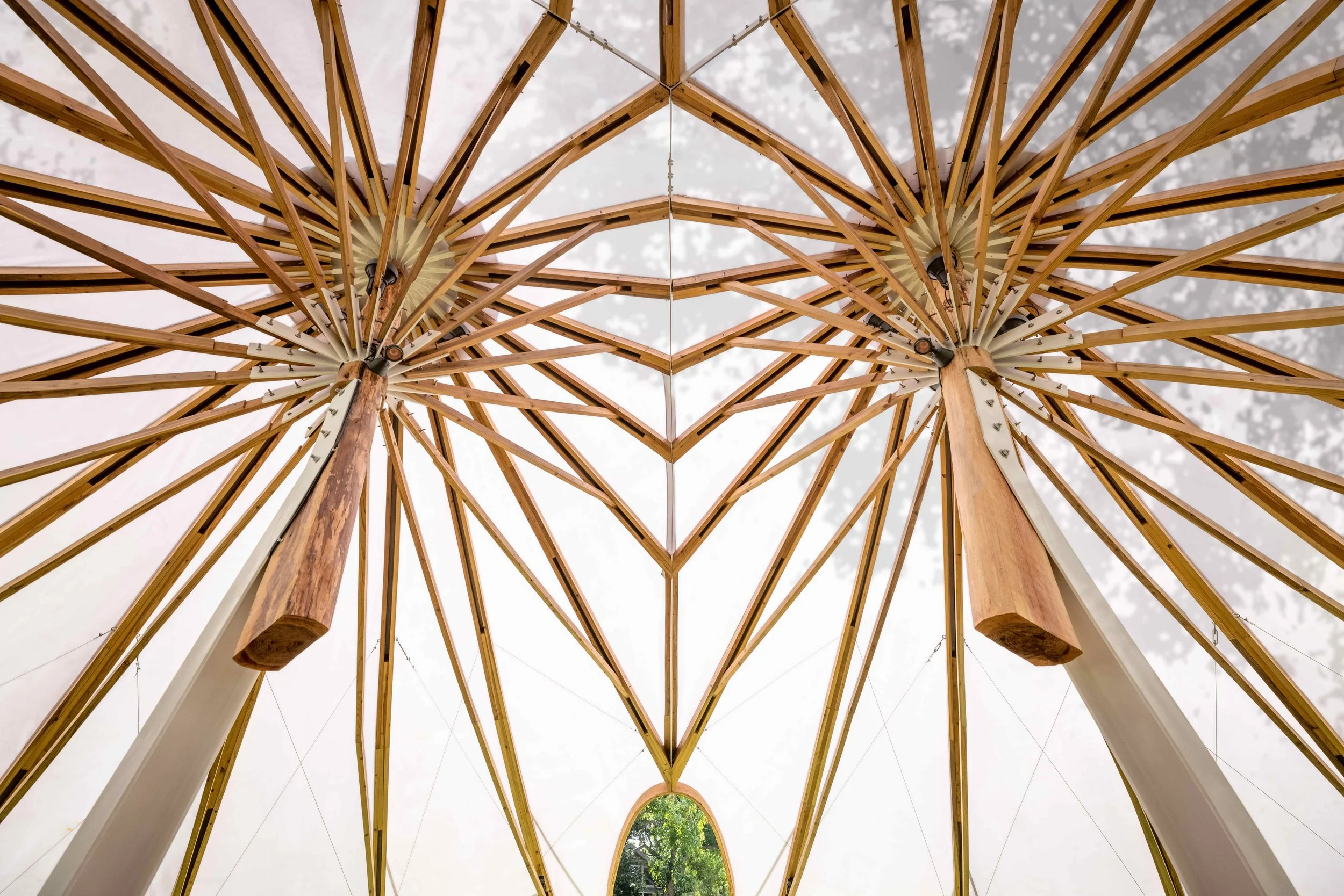 Rainy Dome — Cheng Tsung FENG