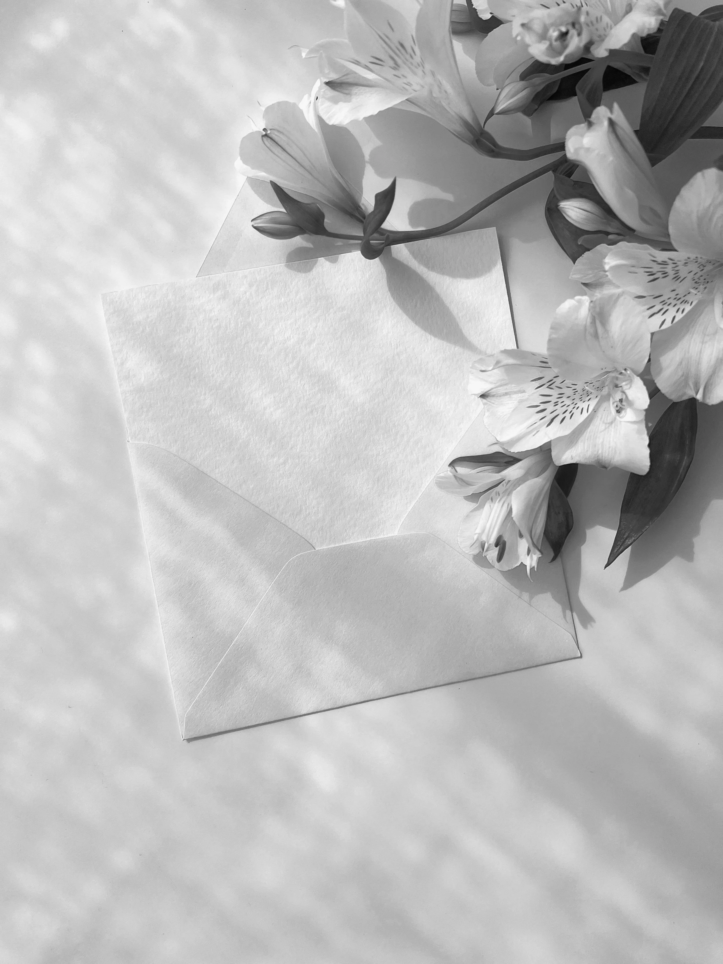 How to Help A Widow — Paisley Project