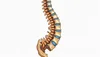 Understanding MRI Lumbar Spine: What Does Mild Disc Bulge Mean? — Read ...