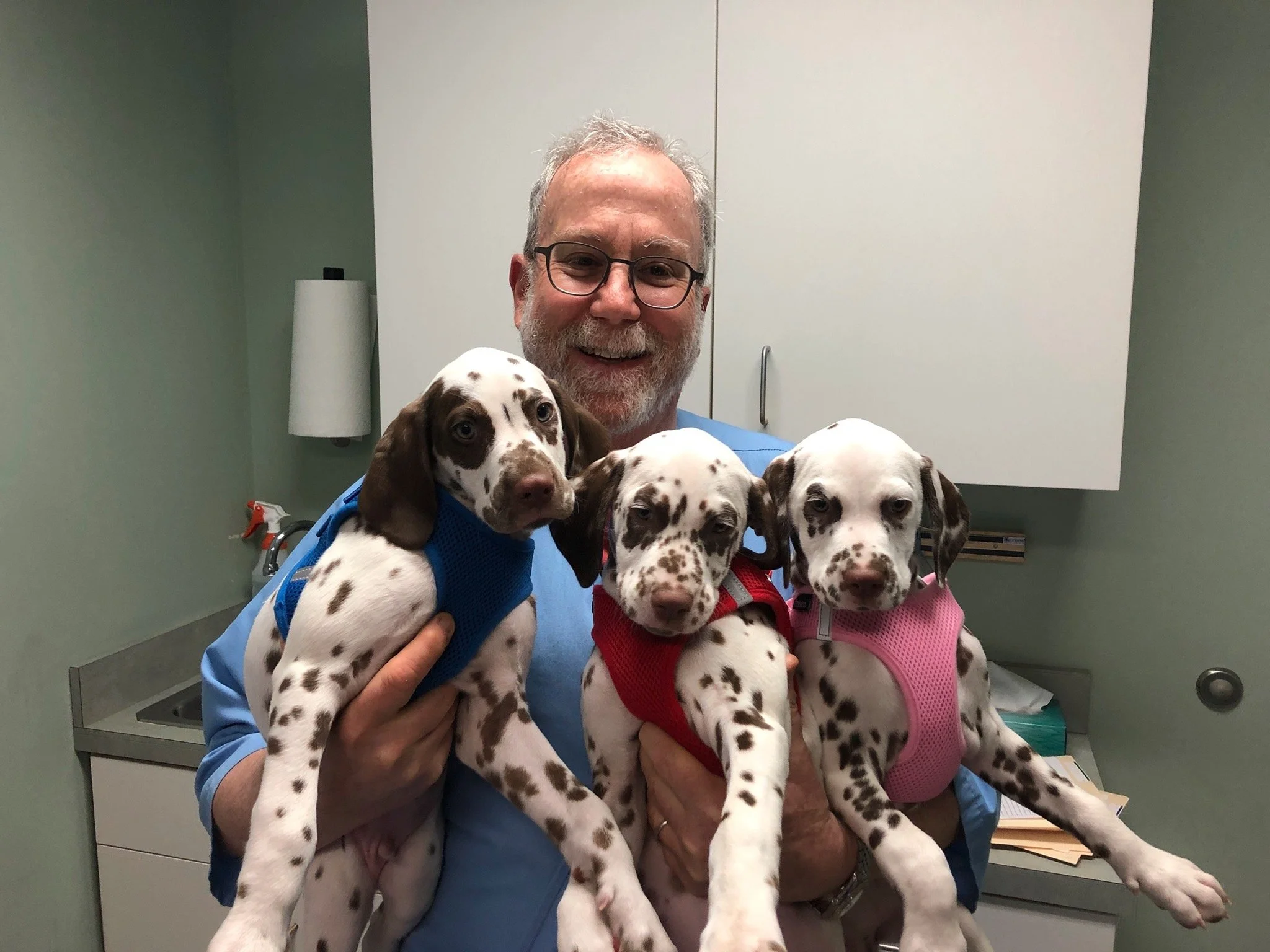 About Us | Trust Us with Your Pet — GATEWAY ANIMAL HOSPITAL