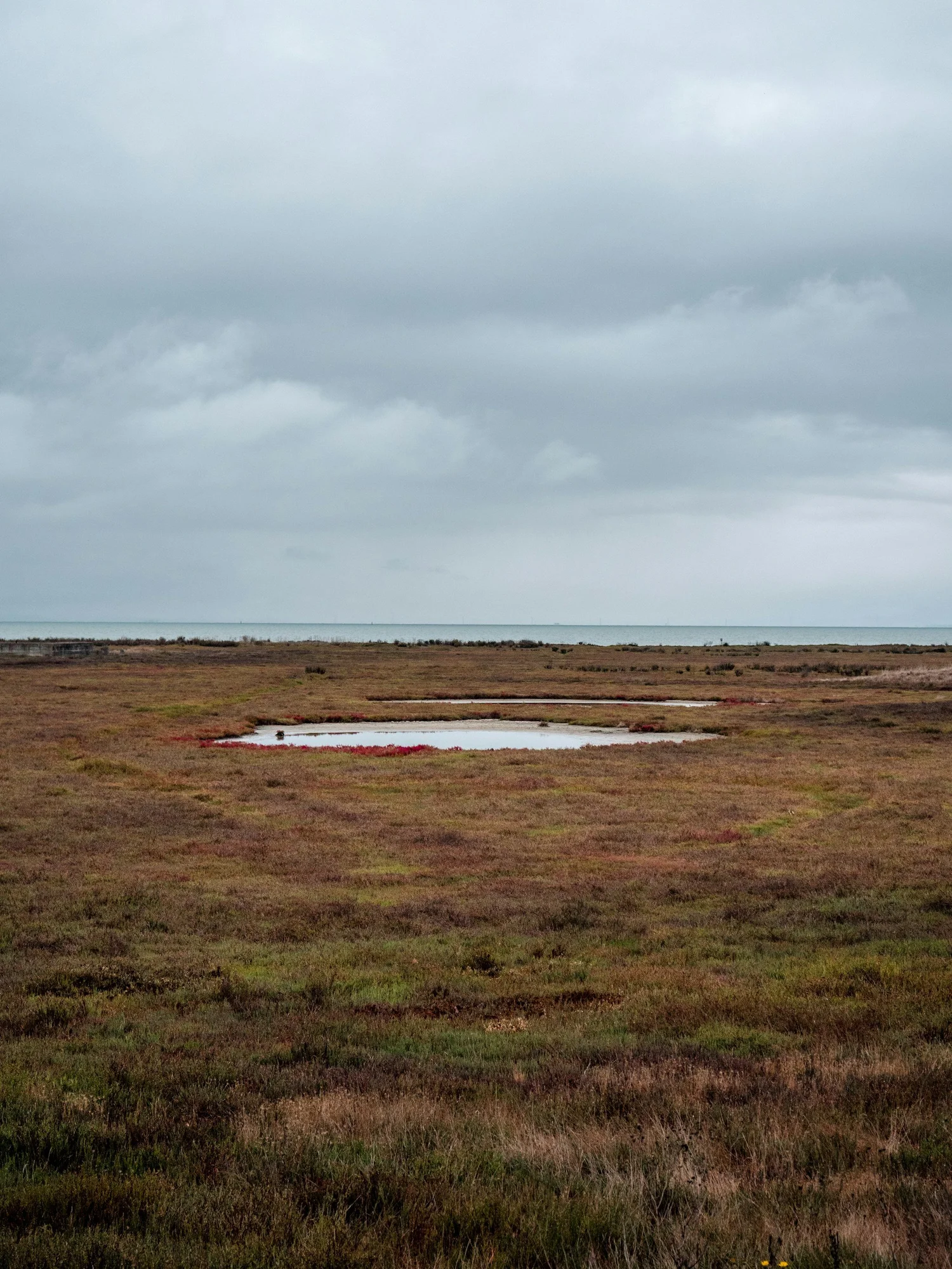 The UK Habitat Bank | Biodiversity Offsetting and BNG Units