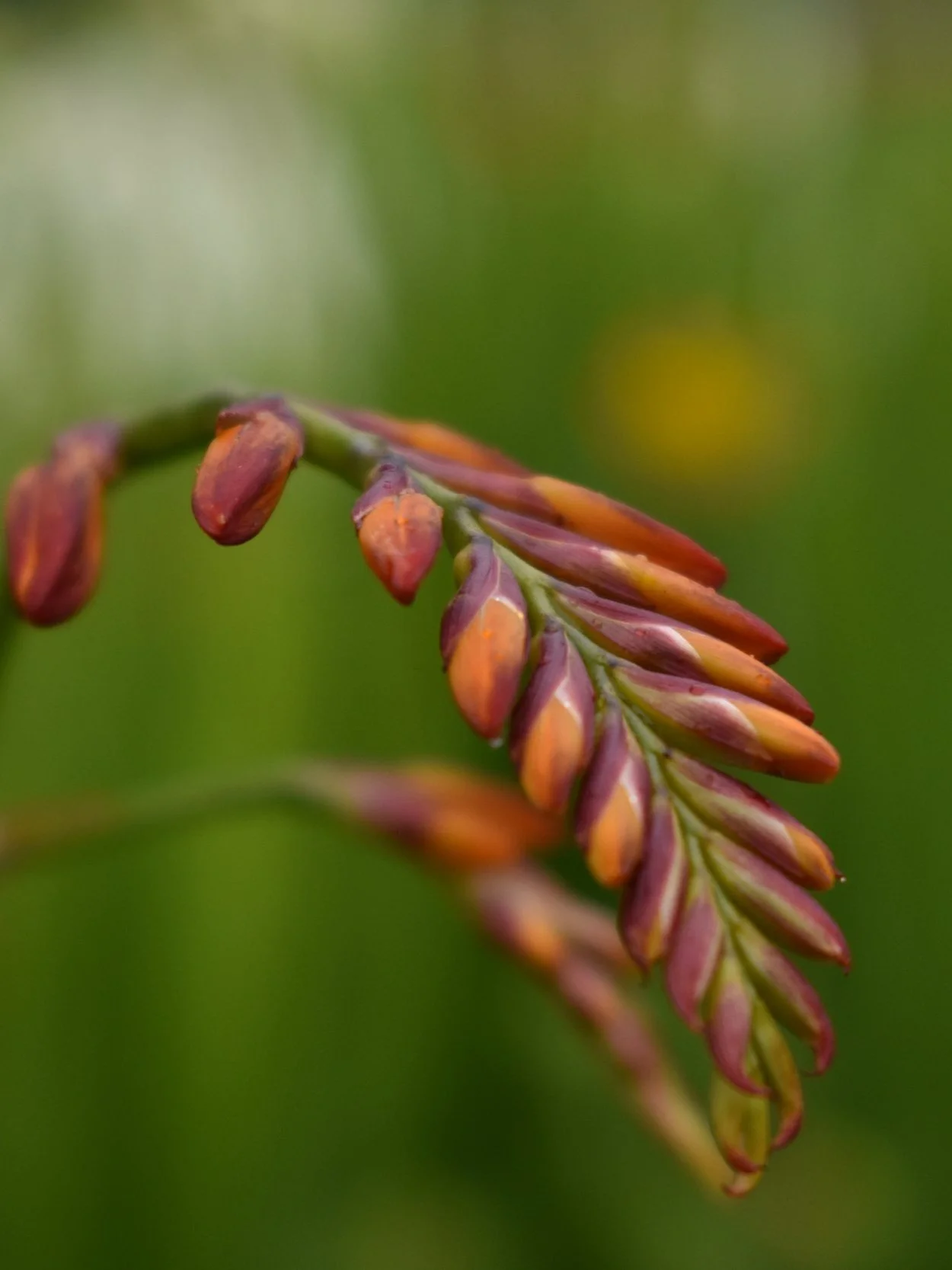 Our strategically located, Defra-approved sites — The UK Habitat Bank