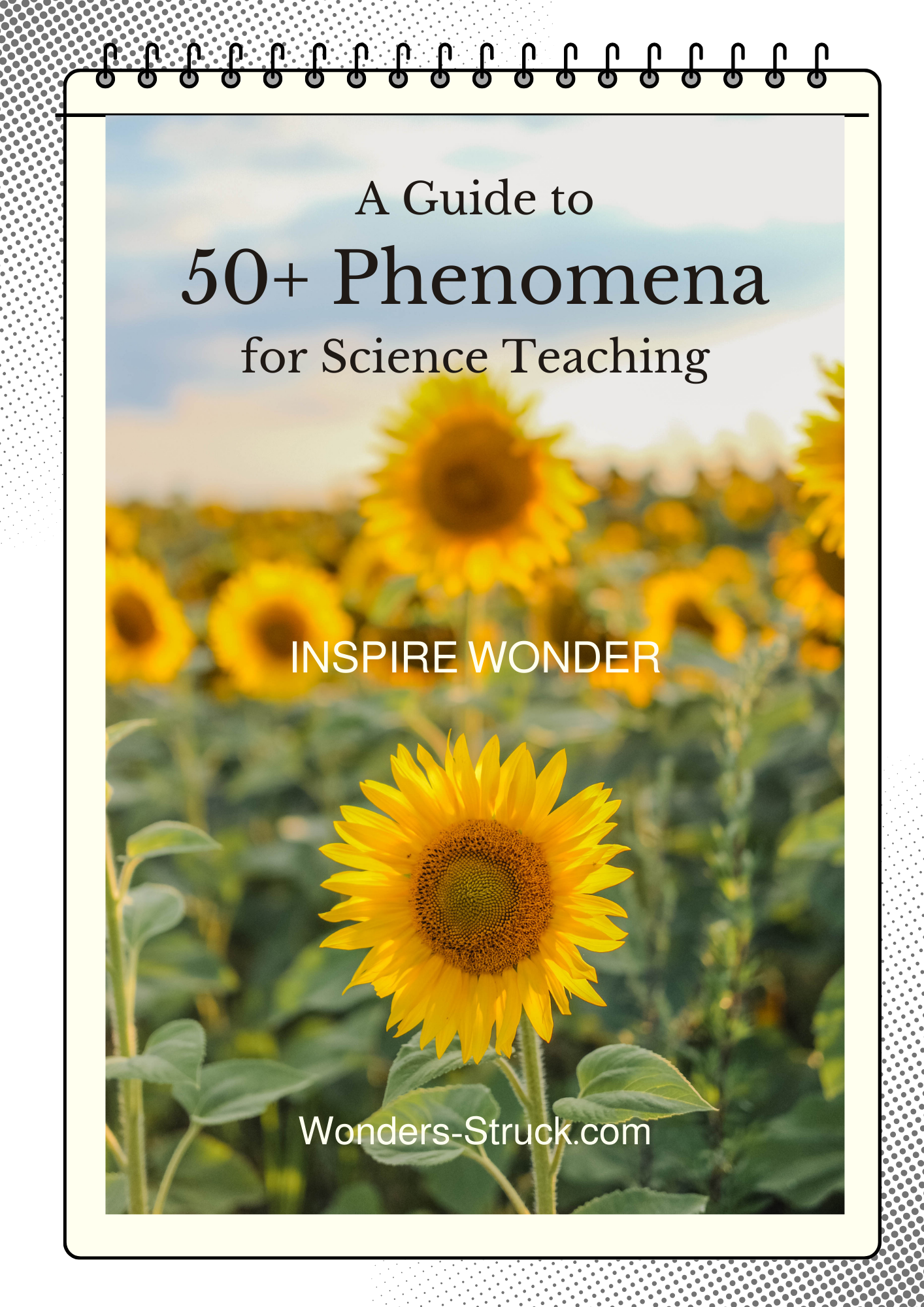 A Free Guide to 50+ Phenomena for Teaching Science — WondersStruck