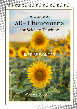 A Free Guide to 50+ Phenomena for Teaching Science — WondersStruck