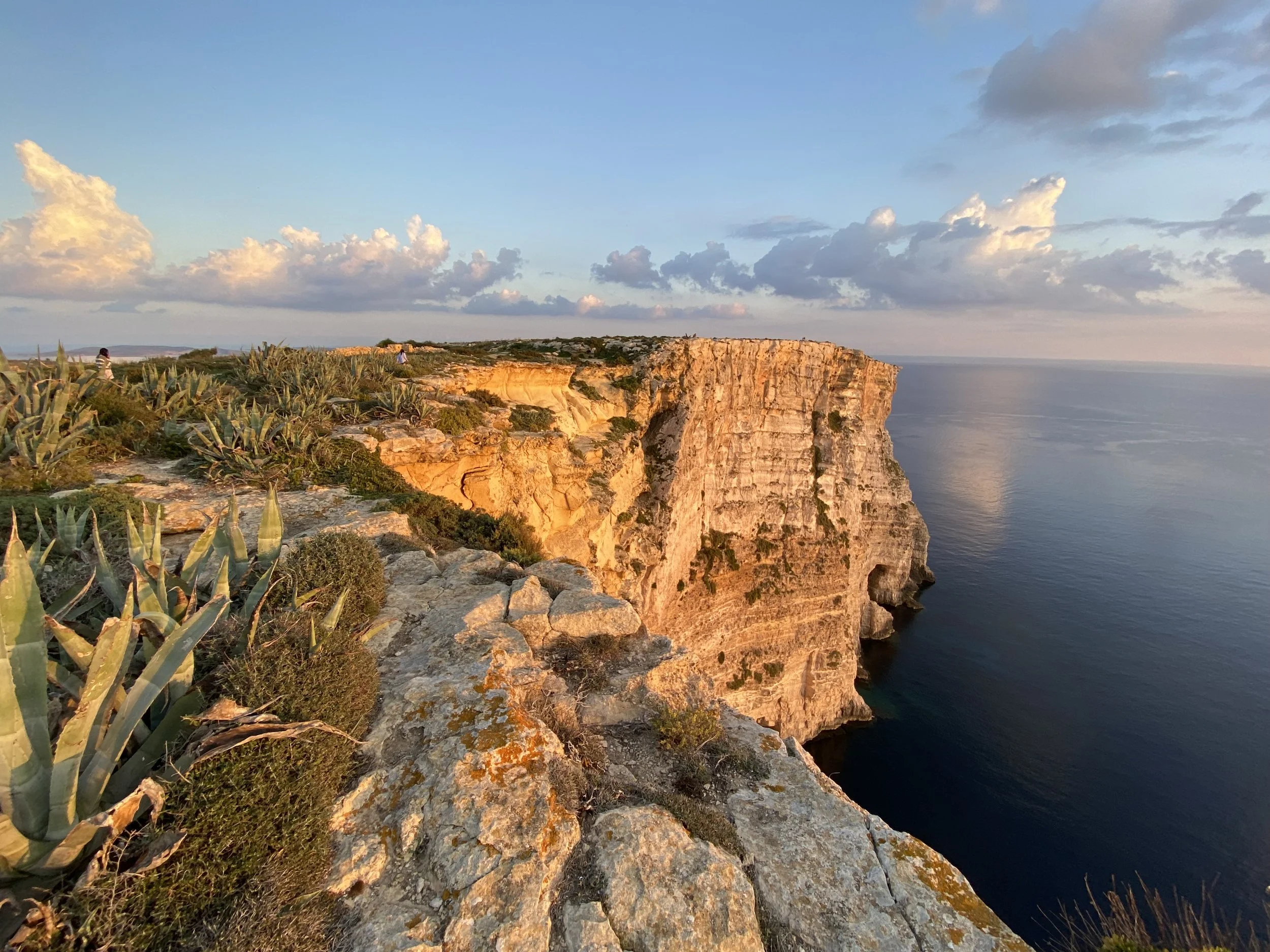 Ta' Cenc Cliffs: Breathtaking Views — explorinmalta