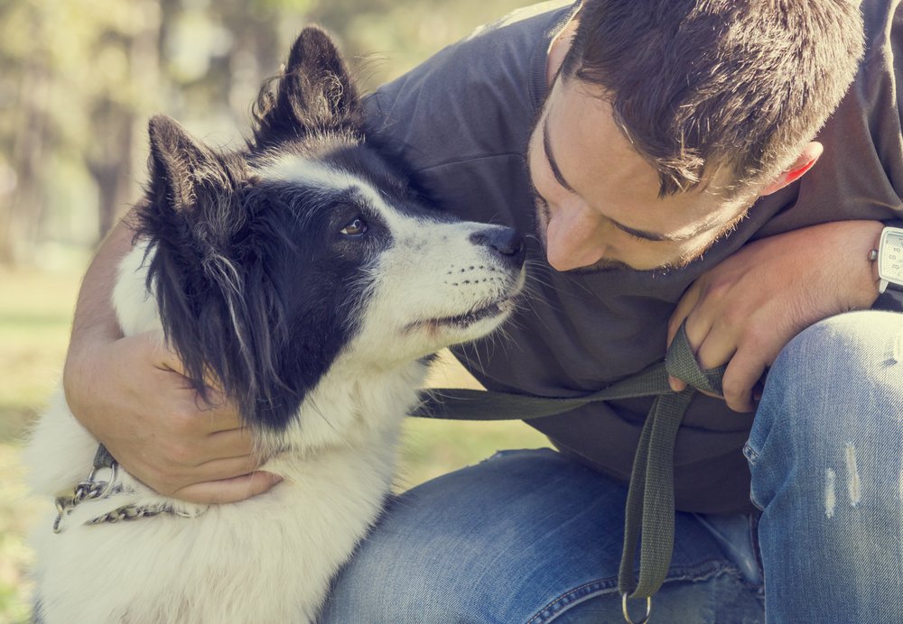 K9 Healers | Connect with Compassion