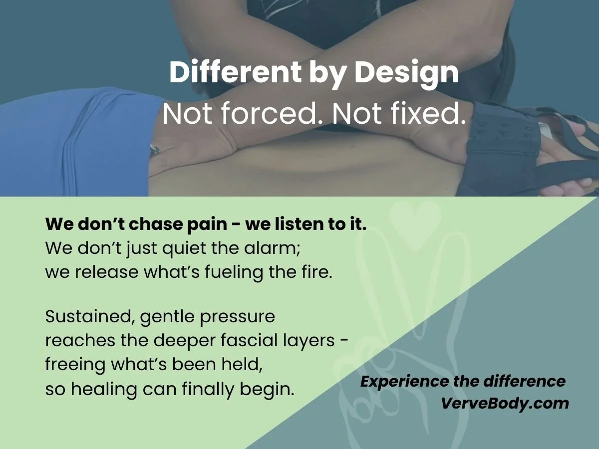 The Jaw–Pelvis Connection: How Fascia Links TMJ & Hip Pain — VerveBody ...