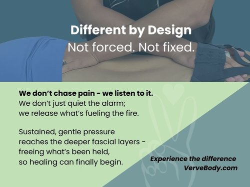 The Jaw–Pelvis Connection: How Fascia Links TMJ & Hip Pain — VerveBody ...