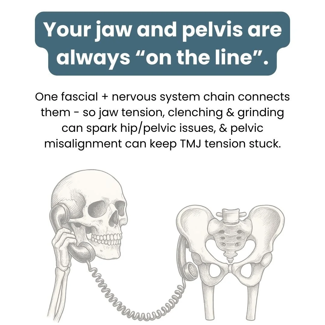 The Jaw–Pelvis Connection: How Fascia Links TMJ & Hip Pain — VerveBody ...