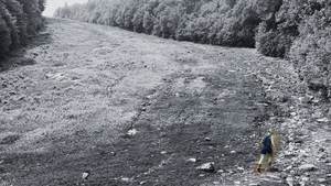 Four guiding principles to help you train better — Method Endurance