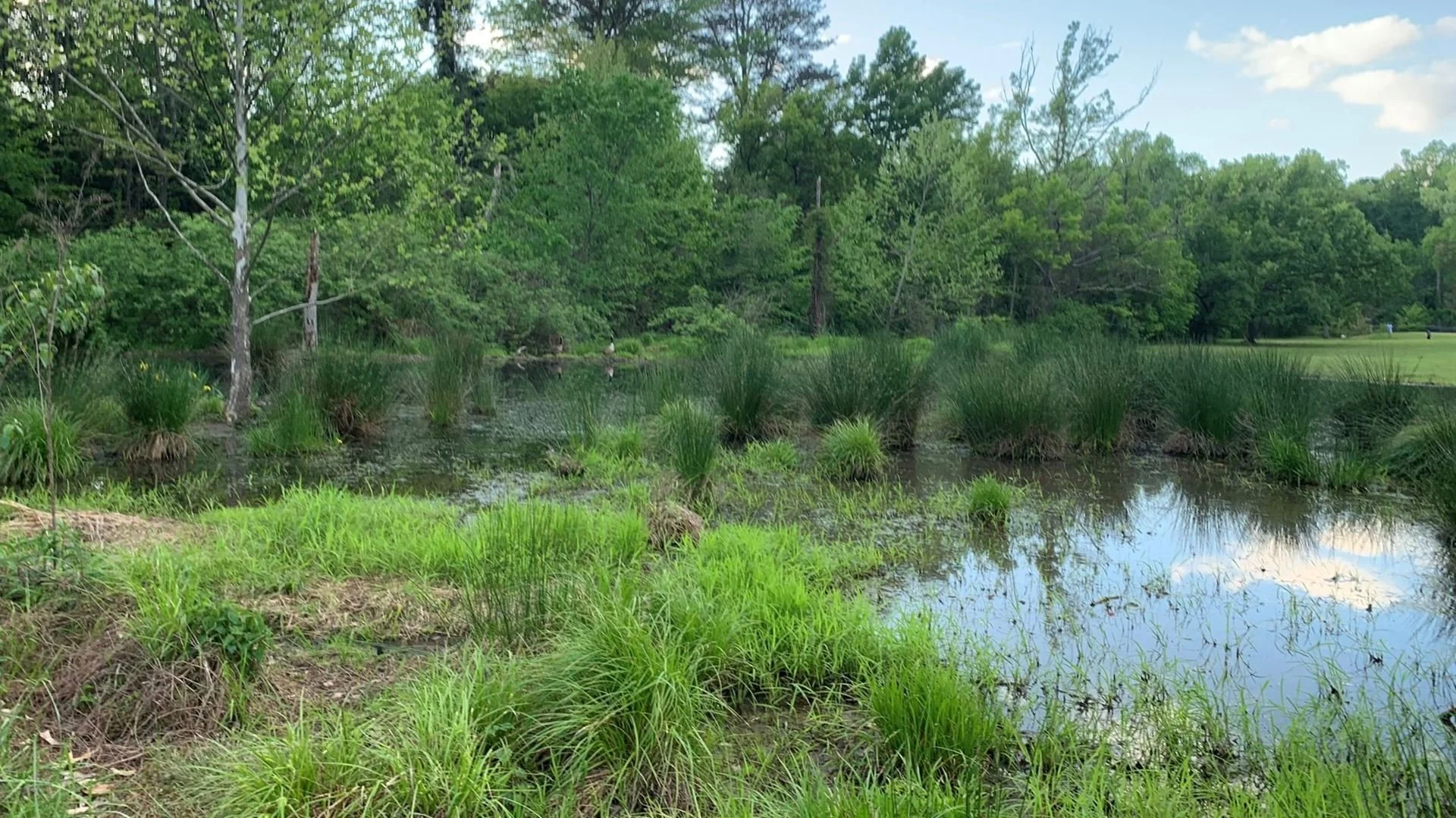 Candler Park Conservancy
