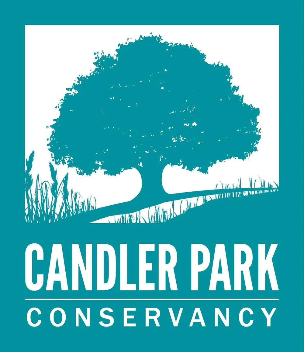 Candler Park Conservancy