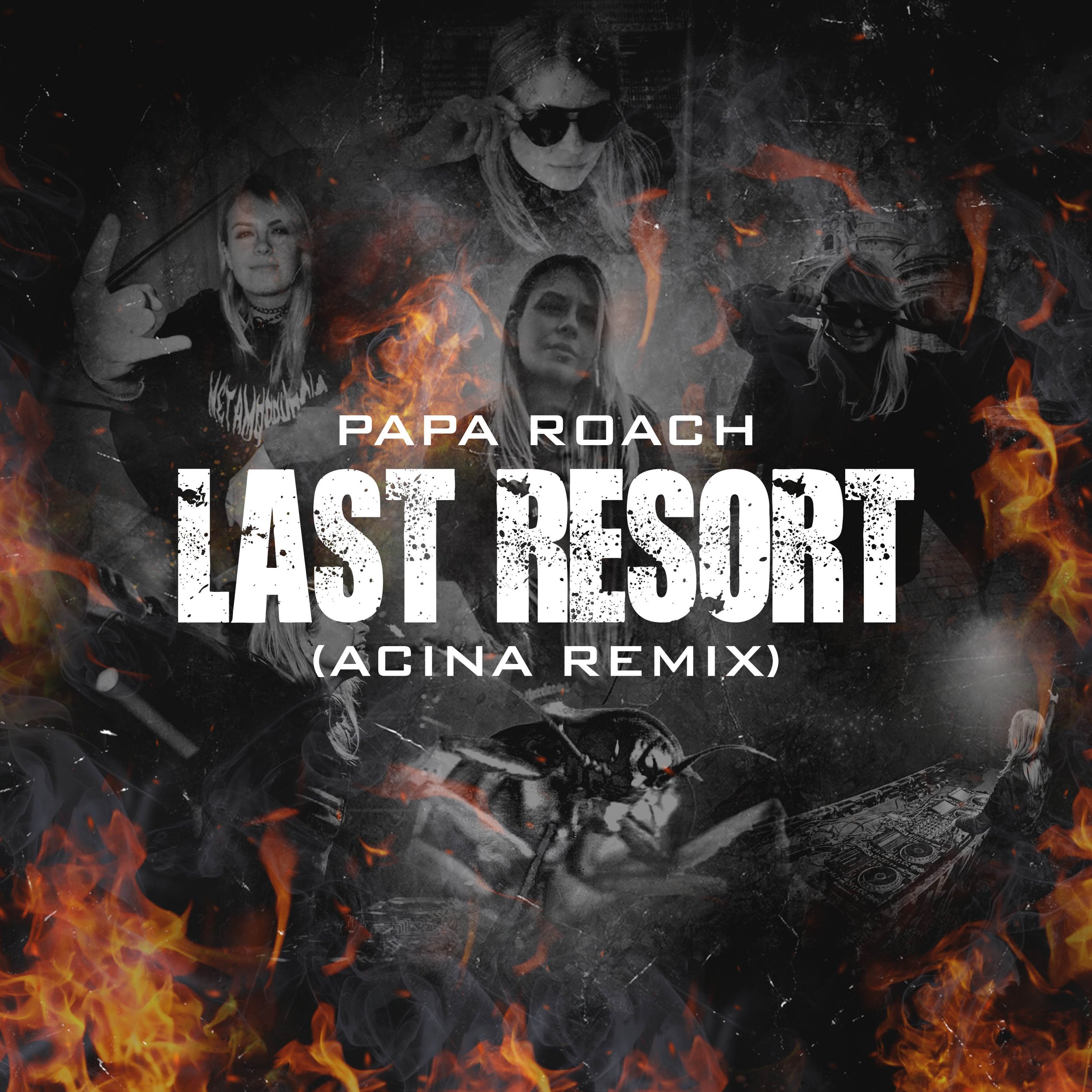 ACINA | Official Website