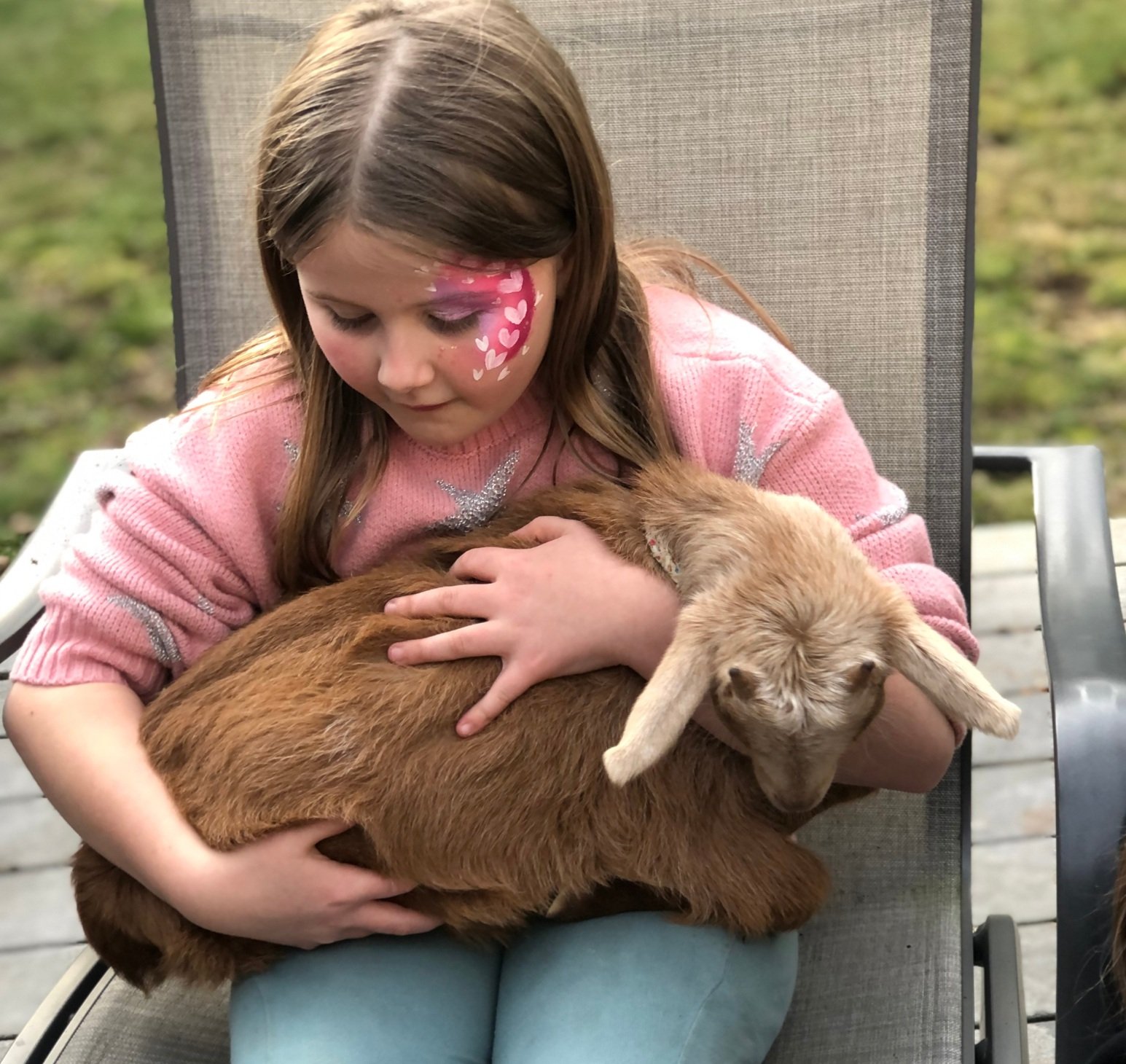 Bring the Barn | Experience Farm Fun