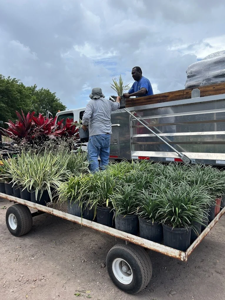 Landscape Installation | Transform Your Outdoors — Pristine Landscapes