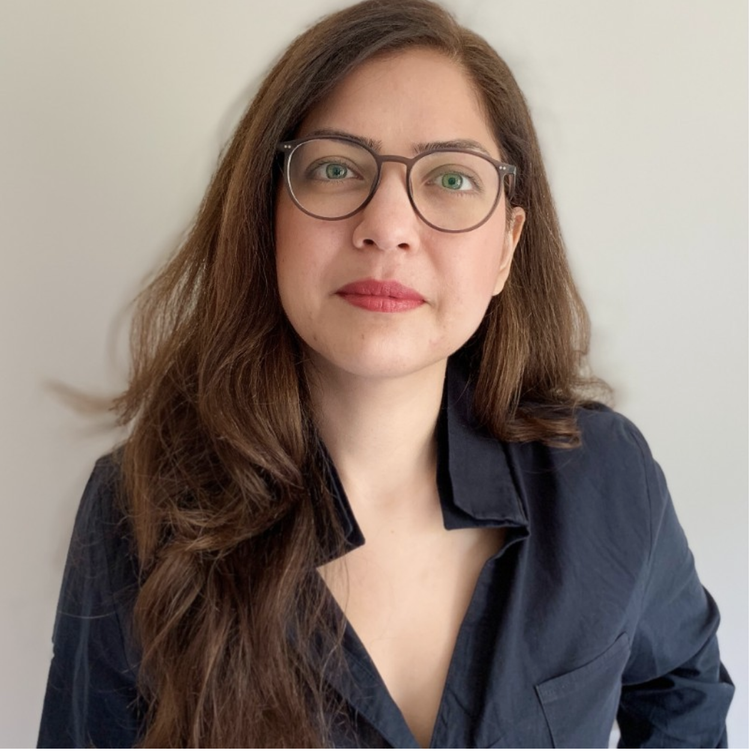 Dr. Samira Iran — Sustainable Fashion Consumption Network