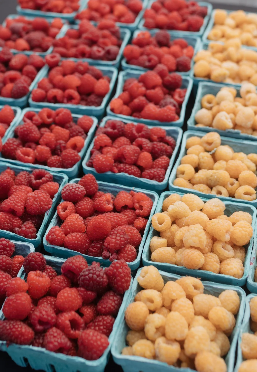 Redmond Oregon Farmers Market