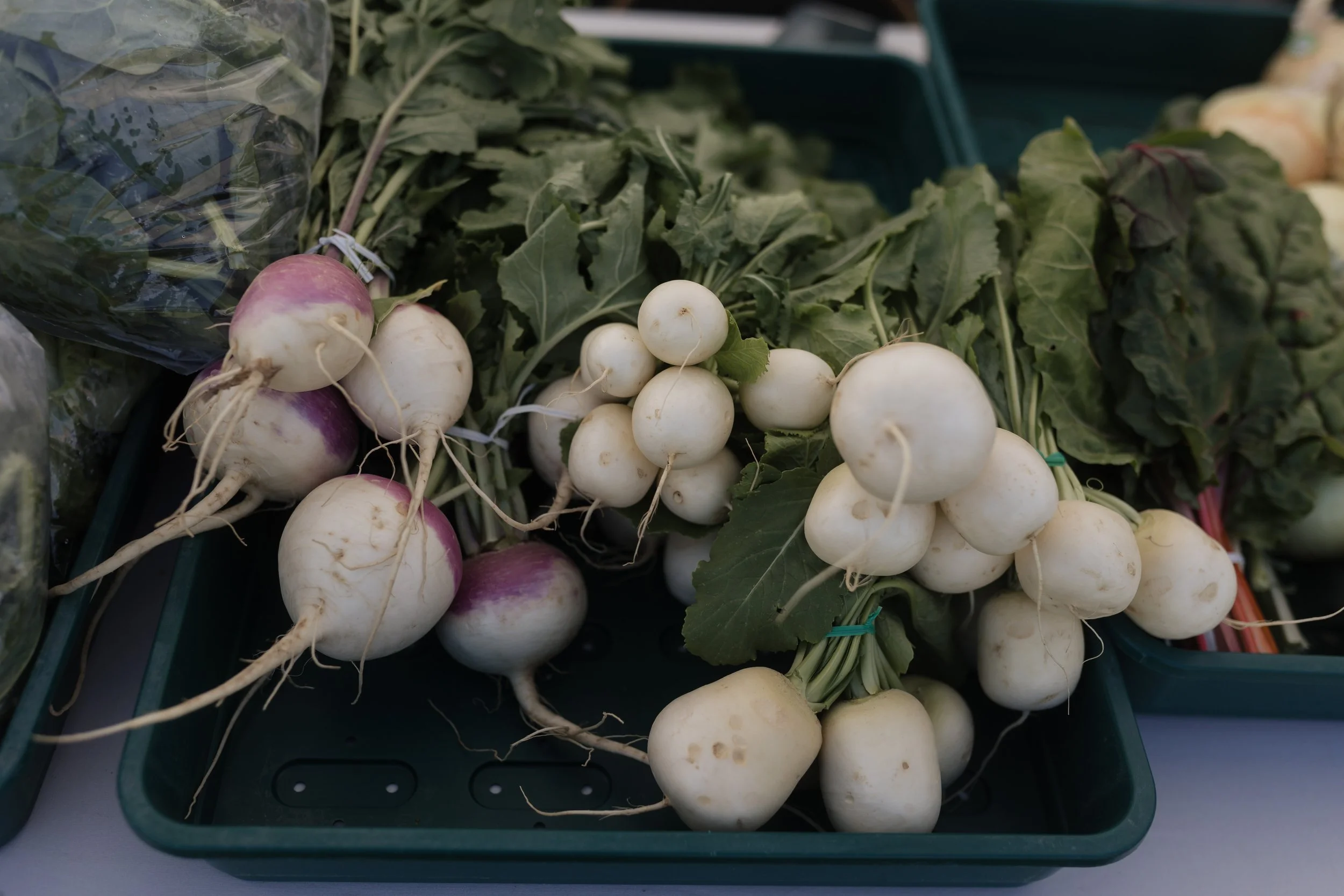 Redmond Oregon Farmers Market
