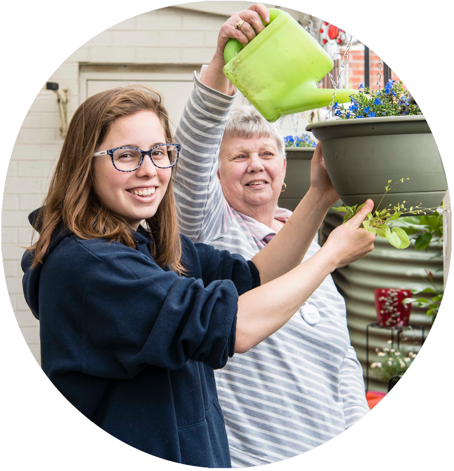 Lively — In-Home Support