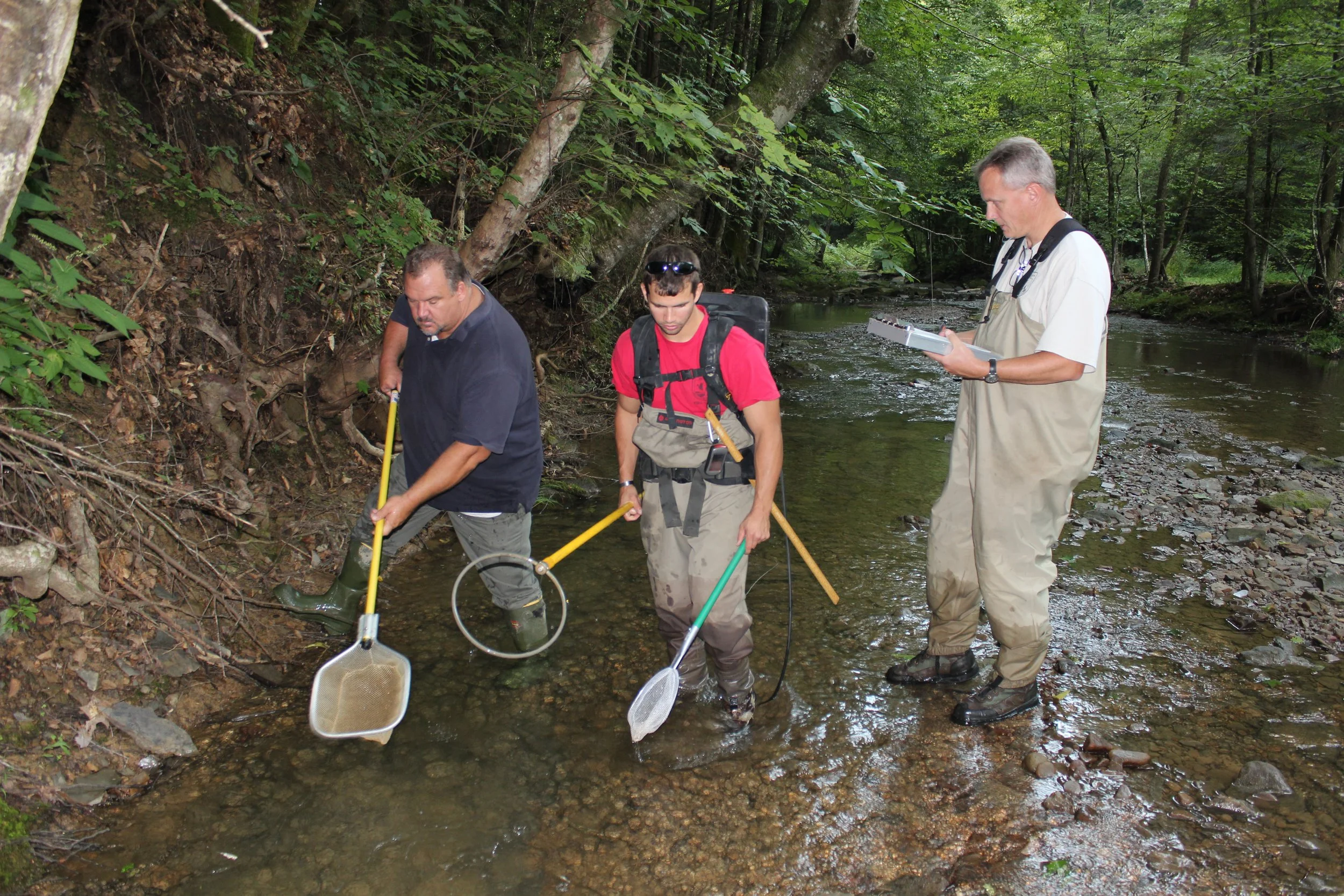 Boone's Ridge — Appalachian Wildlife Foundation