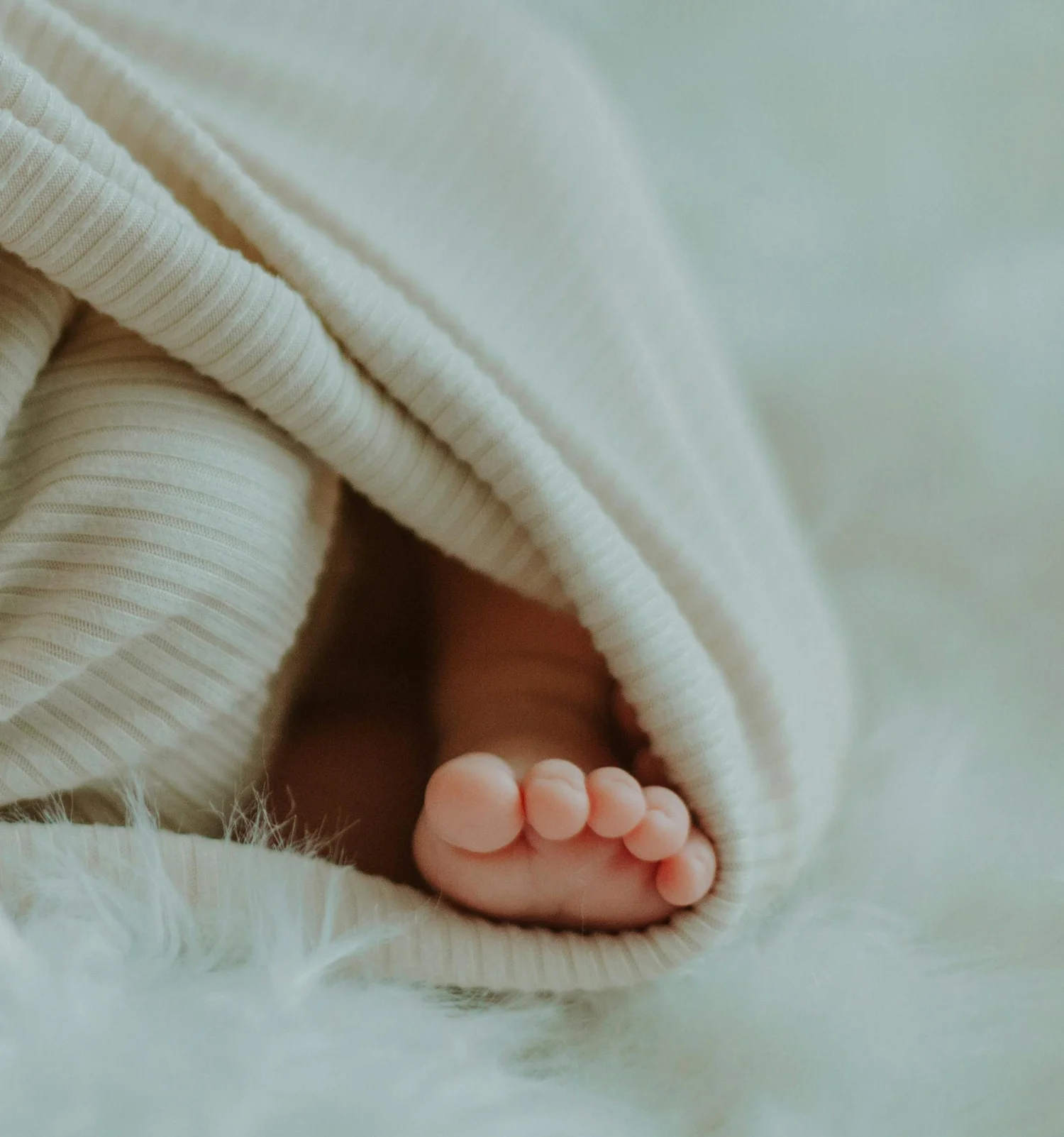 FDA Regulation — Baby Formula Expert