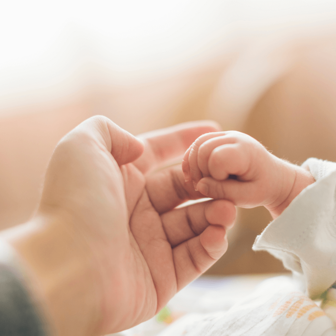 FDA Regulation — Baby Formula Expert