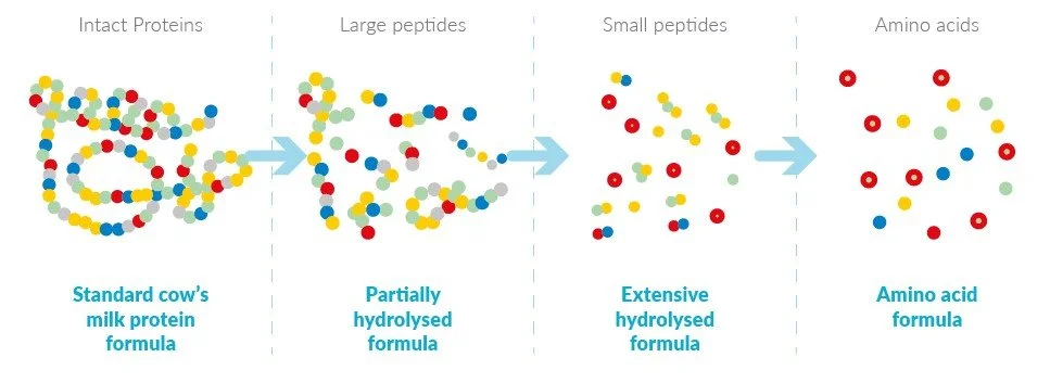 Protein Type — Baby Formula Expert