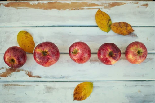 Applefest | Join the Celebration Today