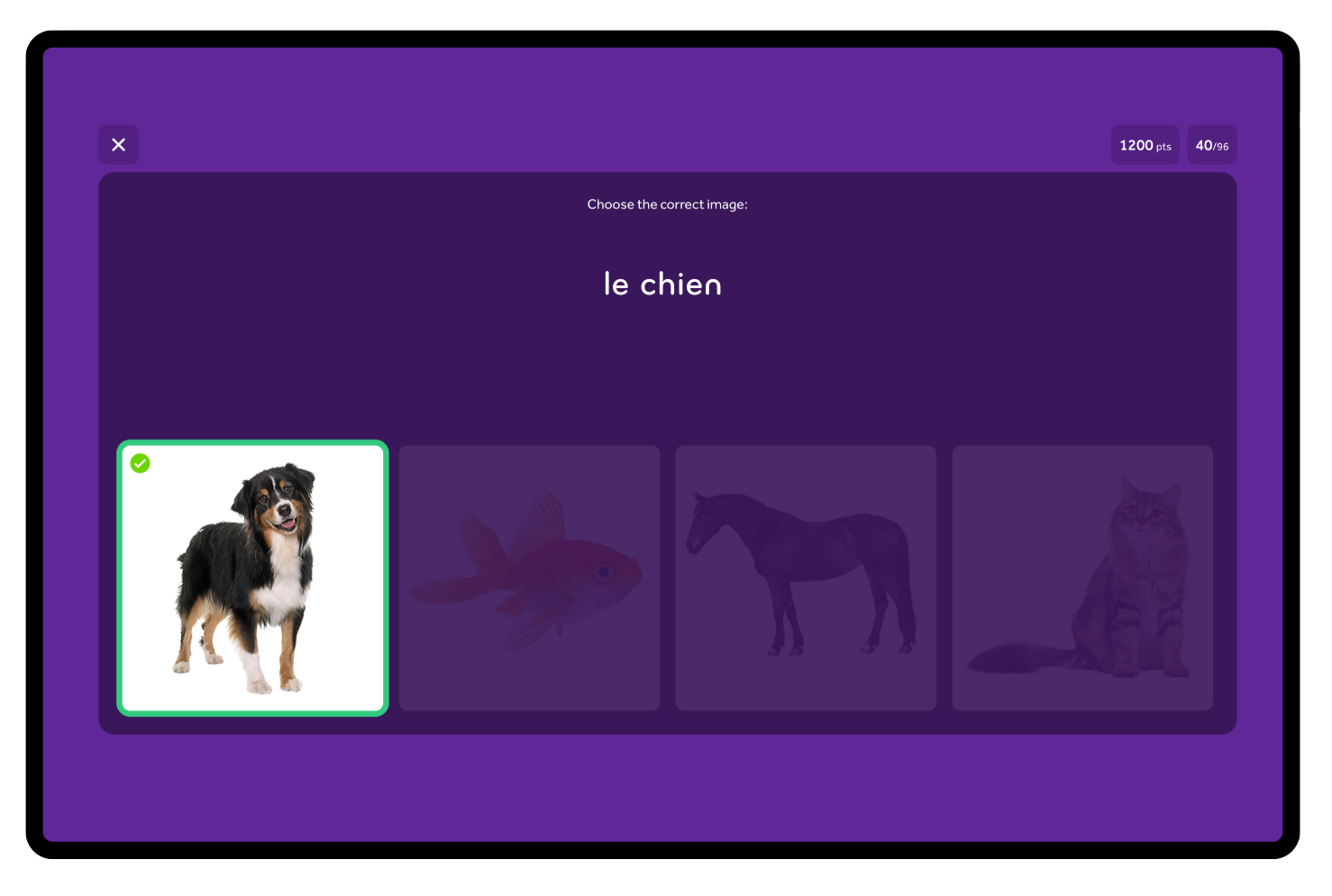 PopQuiz: Classroom Quiz App for Student Engagement — PopSuite for ...