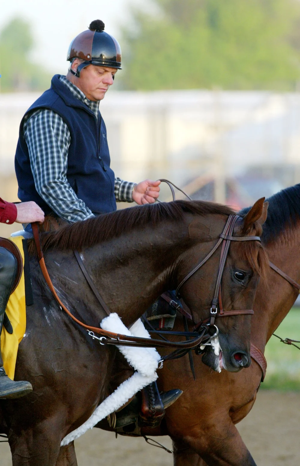 About Smarty Jones — Ride of a Lifetime: The Smarty Jones Story