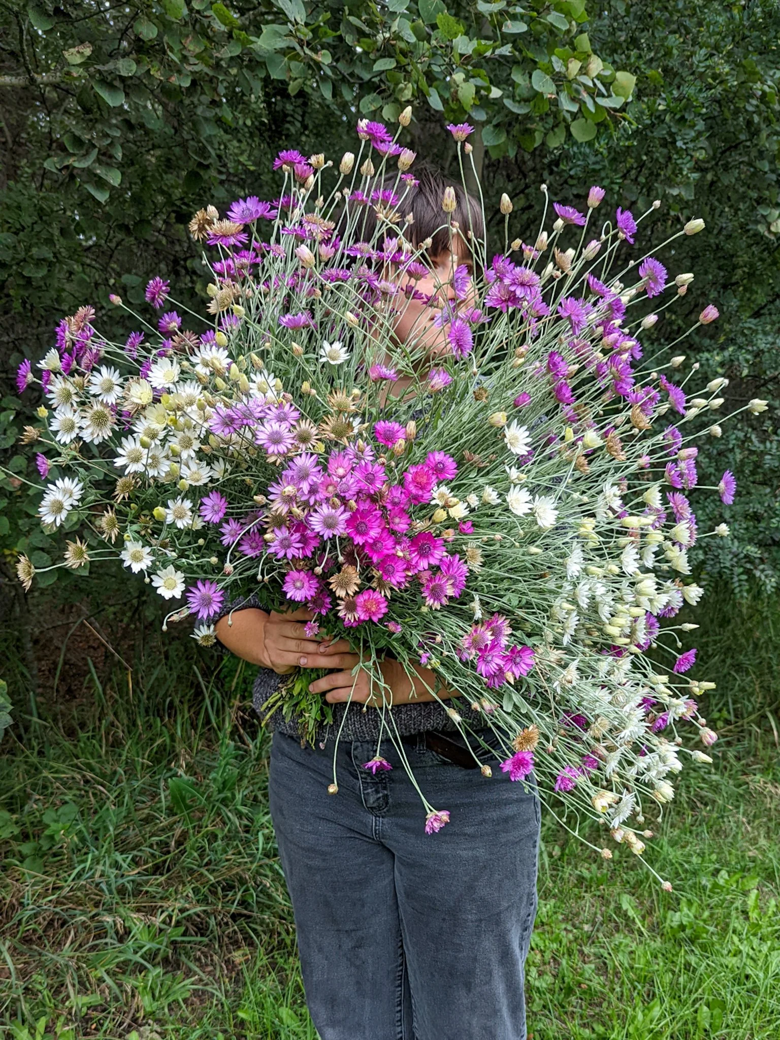 About — Strawflower Farm