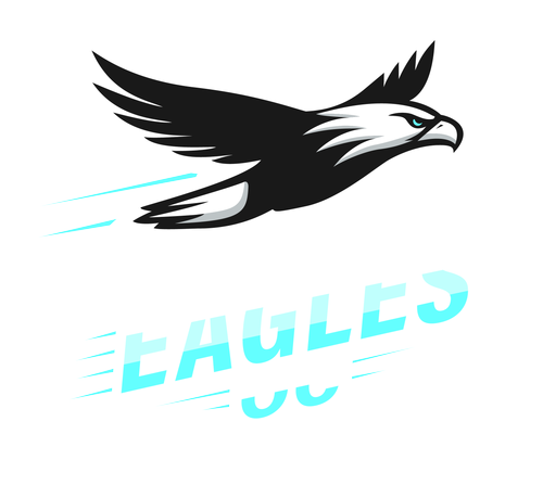 Flying Eagles OC