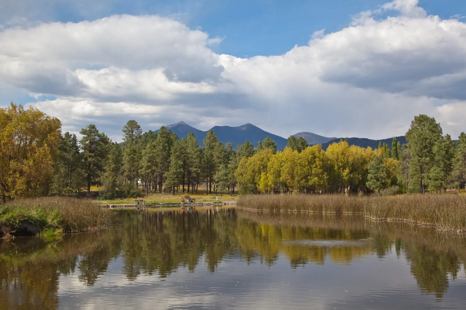 Friends of the Rio de Flag