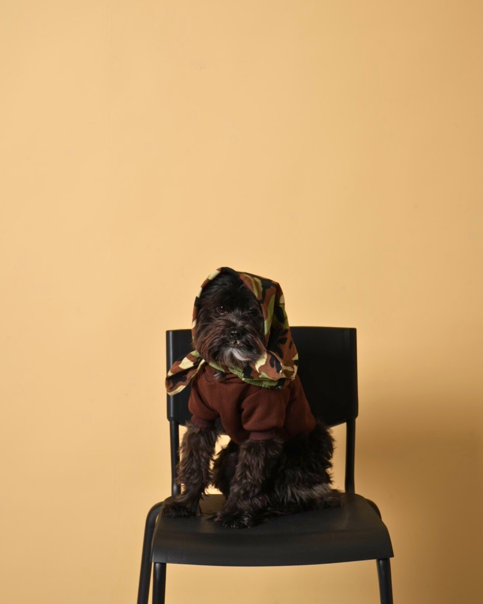 Self-Portrait Session (60 min) — SoloShotStudio.com