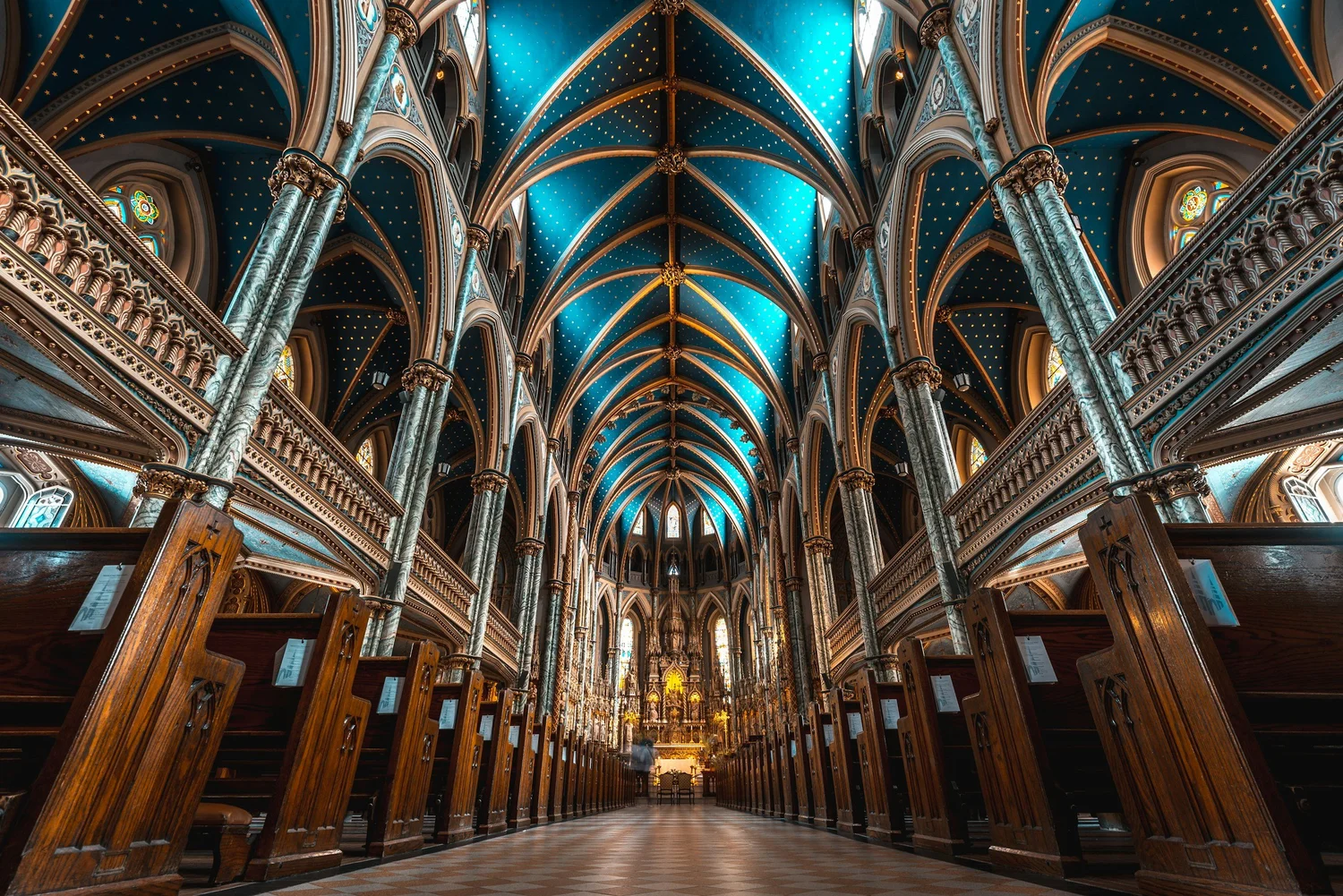 The College Catholic