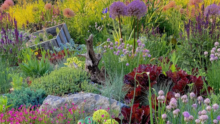 Naturalistic Planting Design Edmonton | PolyFlora Studio