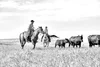 Bruning Farms