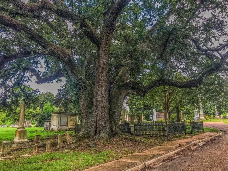 Greenwood Cemetery
