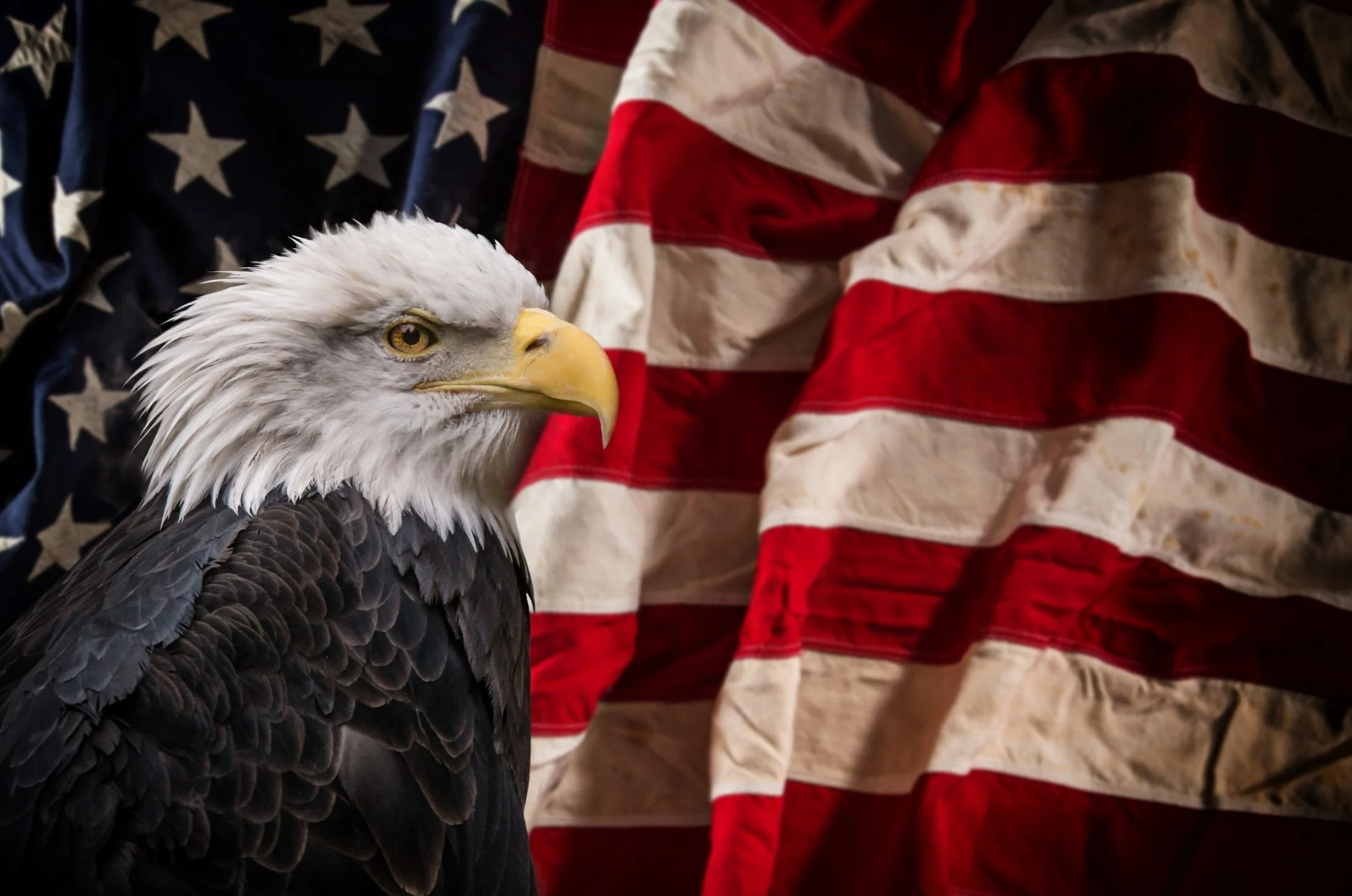 Eagle Security Services | The Eagle Standard