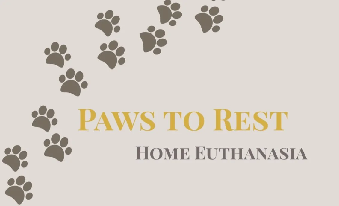 Paws To Rest