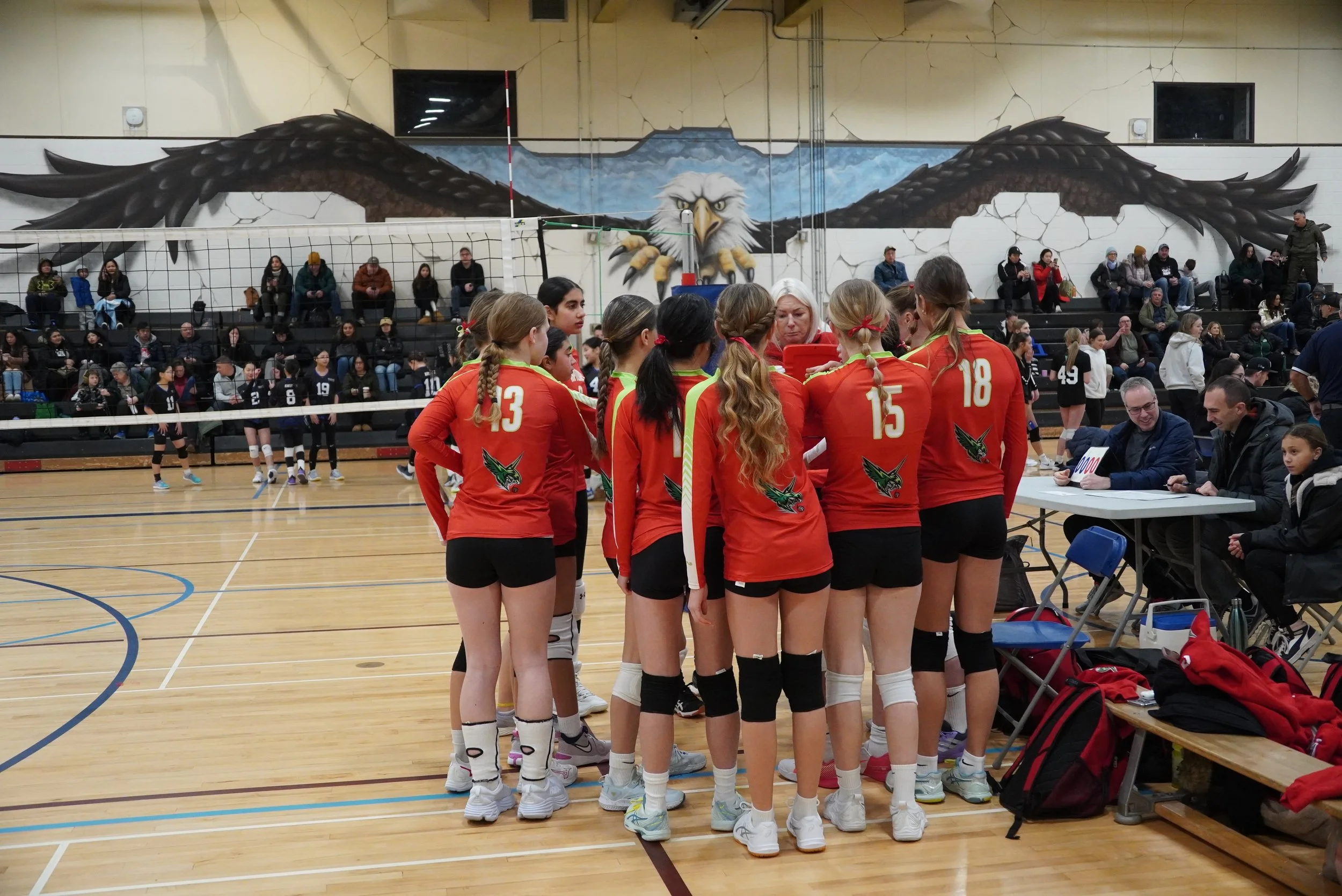 RAPTORS VOLLEYBALL CLUB