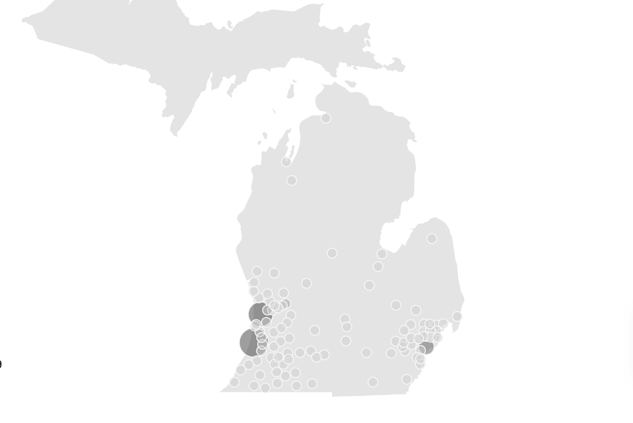Saugatuck Douglas Area Indivisibles