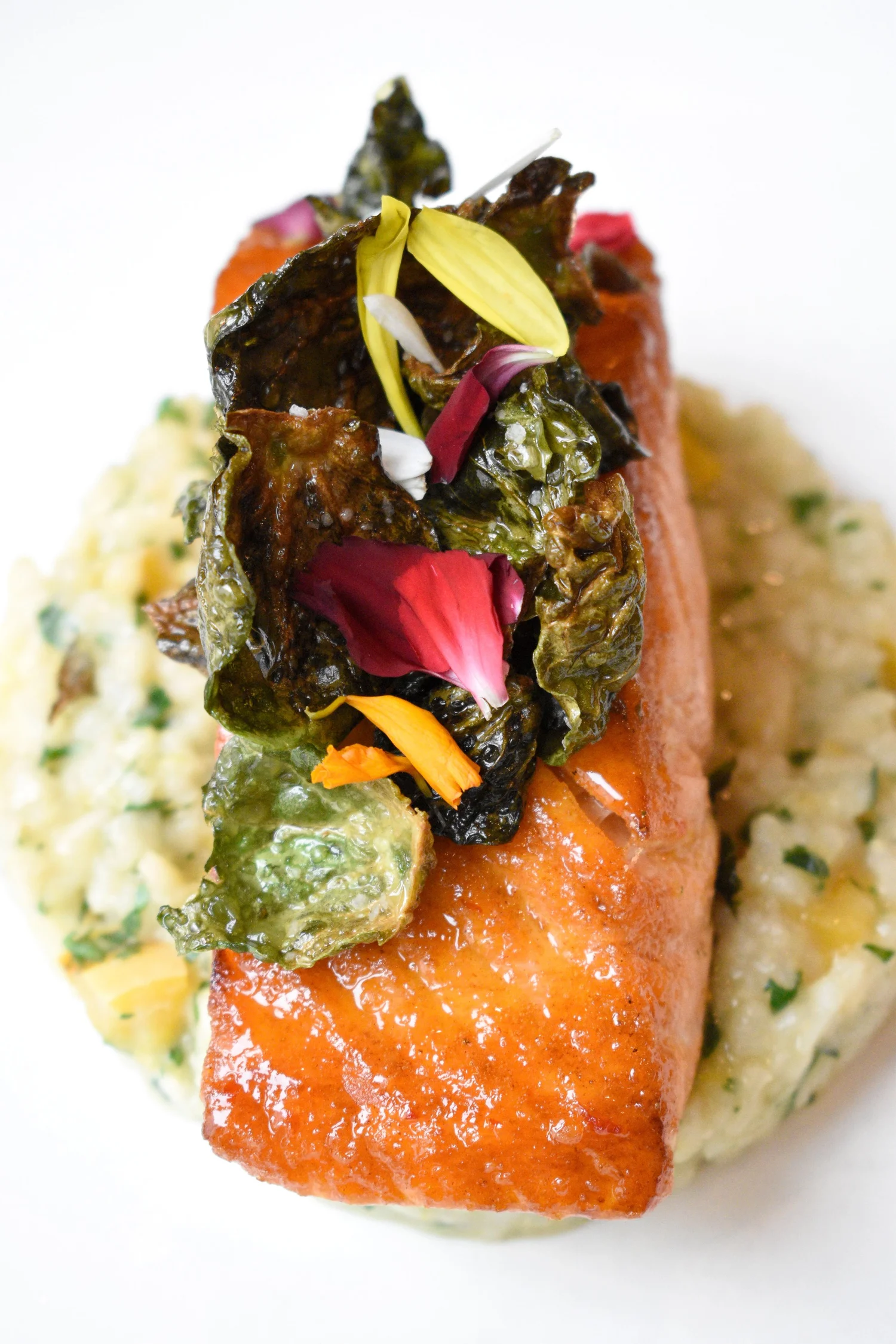 Erie Grill | Discover Erie Grill Cuisine Today