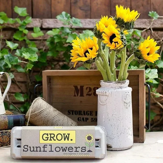 70 Useful Gifts For Homeowners They’ll Actually Want — I Need A Gift.